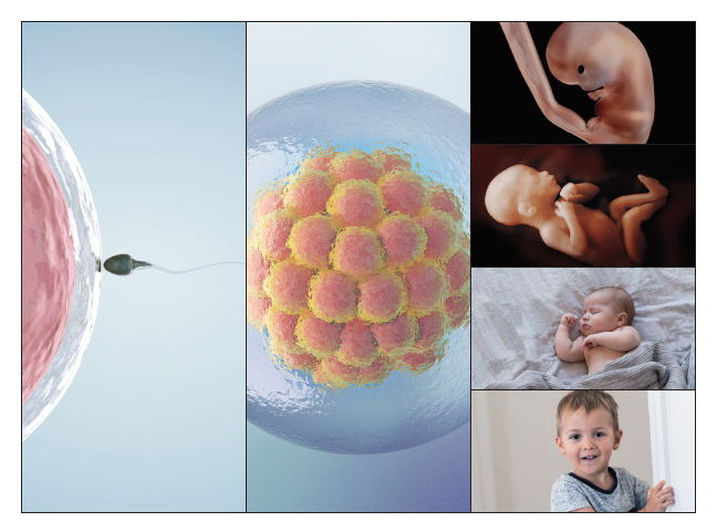 The science behind the pro-life position