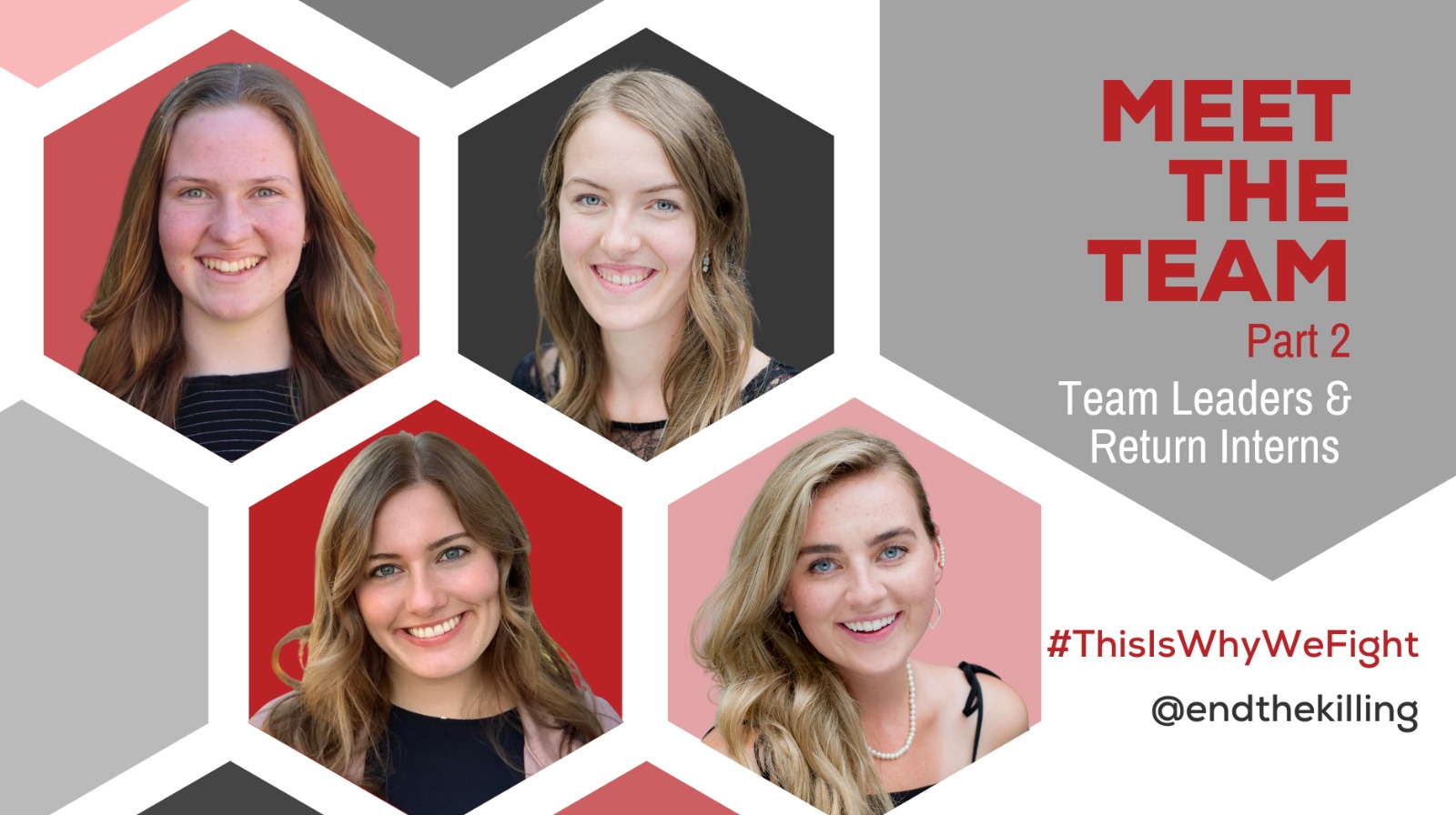 Meet the Interns! (Part 2)